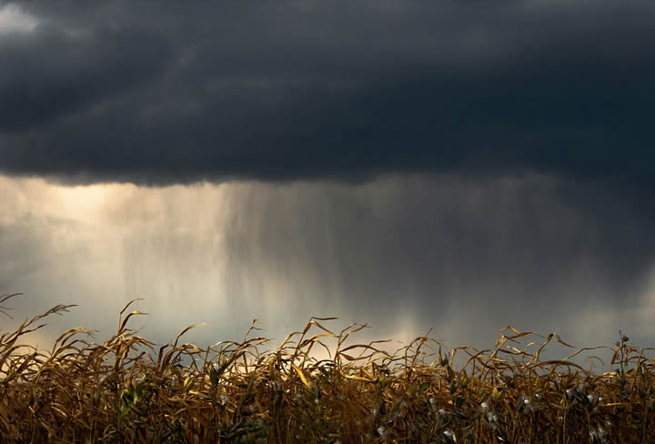 Acid rain: A lingering threat to ecosystems - The ongoing impact of NOX ...