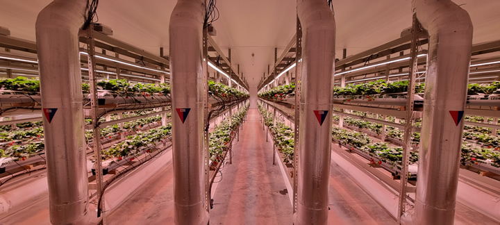 FlexFarming Tackles Industry Challenges With Its Indoor Vertical Farm ...