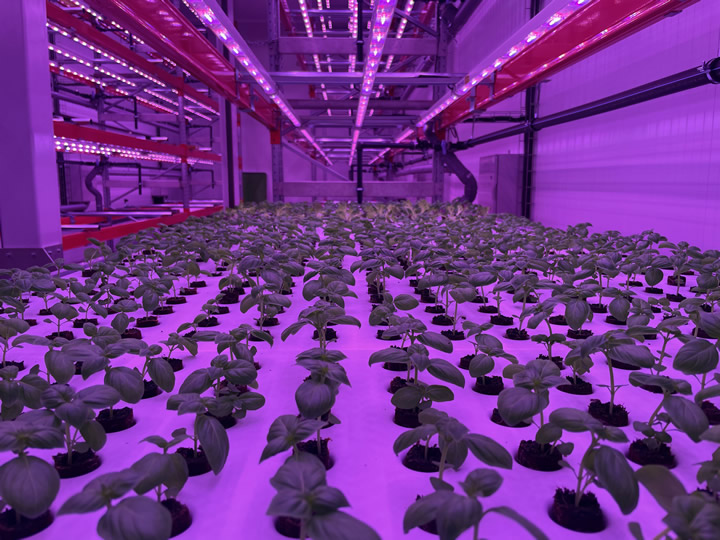 Neboda Farms Adopts Skytree Direct Air Capture Unit for More ...