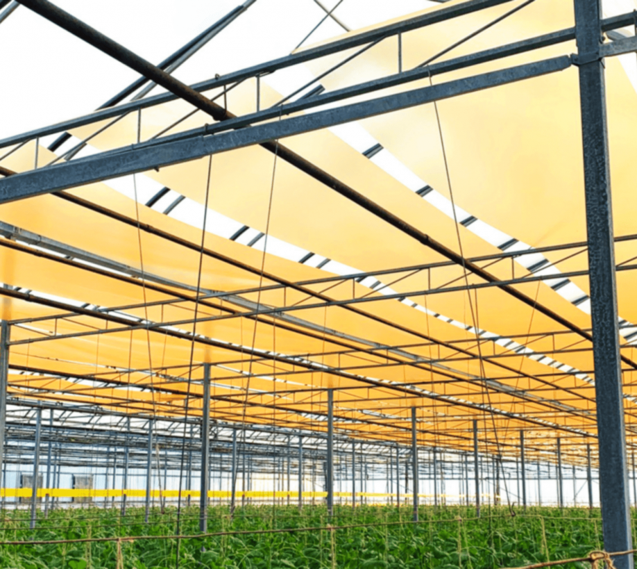 6 Types of Greenhouse Poly Film Coverings | AgriTechTomorrow