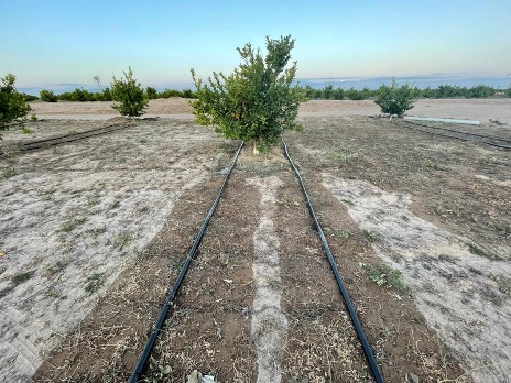 Revolutionizing Agriculture: Innovative Irrigation Solutions for a ...