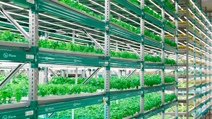 iFarm Will Build a Vertical Farm in Nuanu, the Innovative City on Bali ...